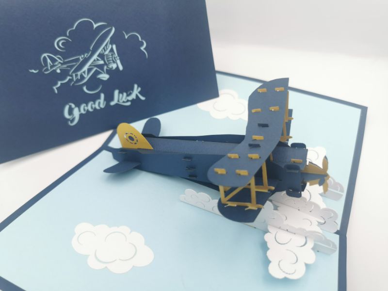 Good Luck Plane – Paper Bear