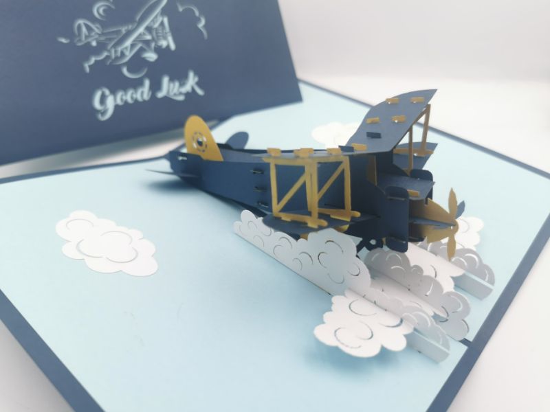 Good Luck Plane – Paper Bear